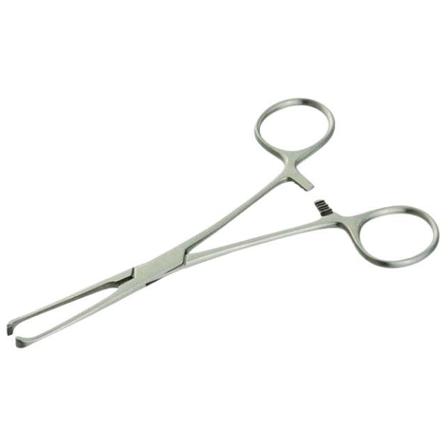 Allis Tissue Forceps 8″ – V Shop