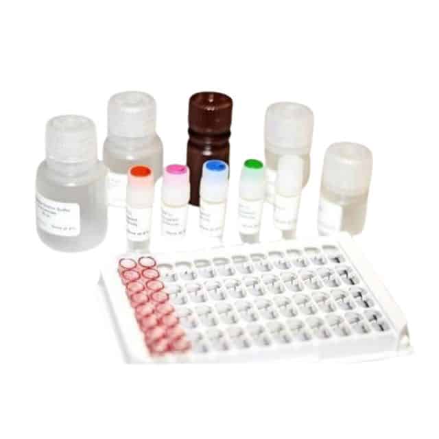 HBeAb (Anti-HBe) Reagent – JAJ International – V Shop