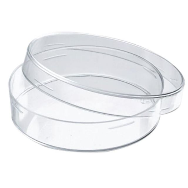 Transparent Glass Petri Dish – Medium size – V Shop
